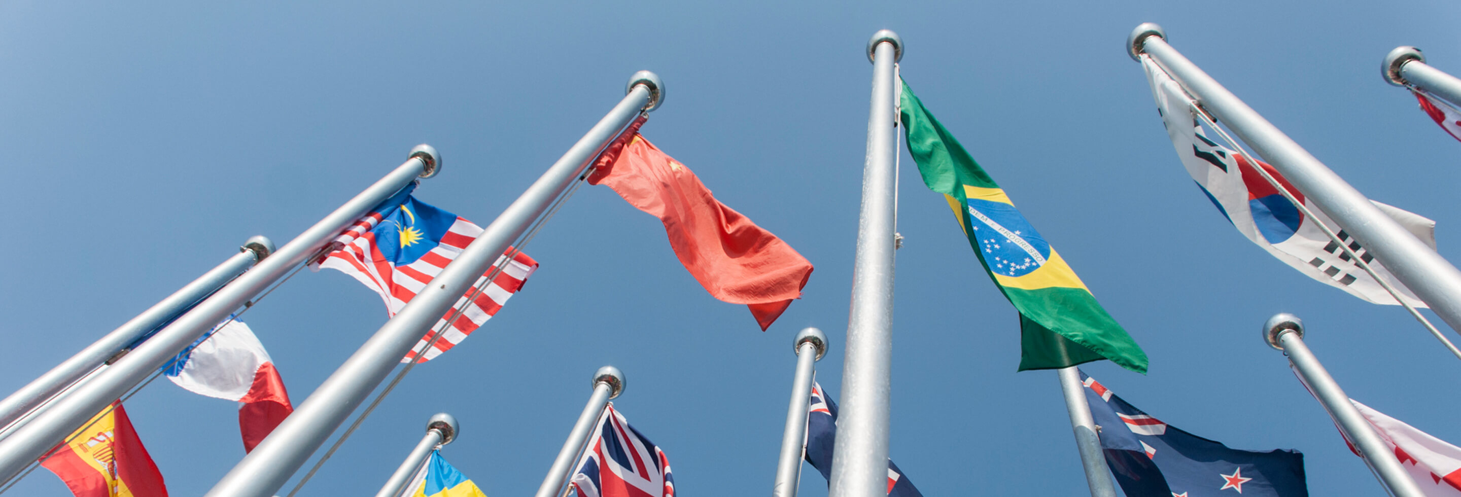 Global Risk Management Consultants